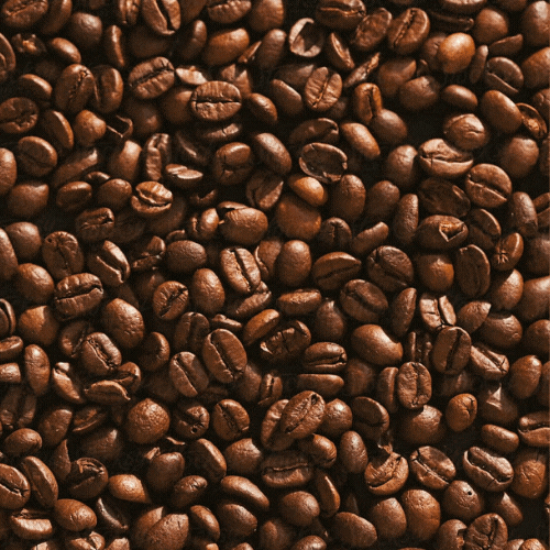 FRESHLY ROASTED PREMIUM ARABICA COFFEE – Don Ruiz Café